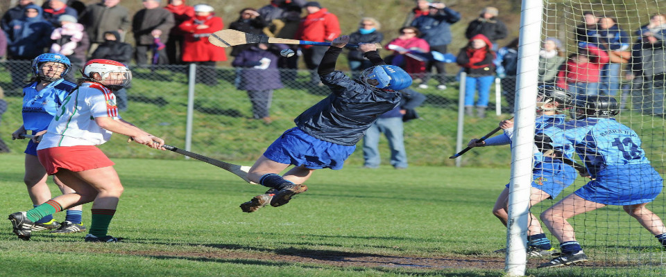 Barryroe GAA Barryroe GAA Club Official Website